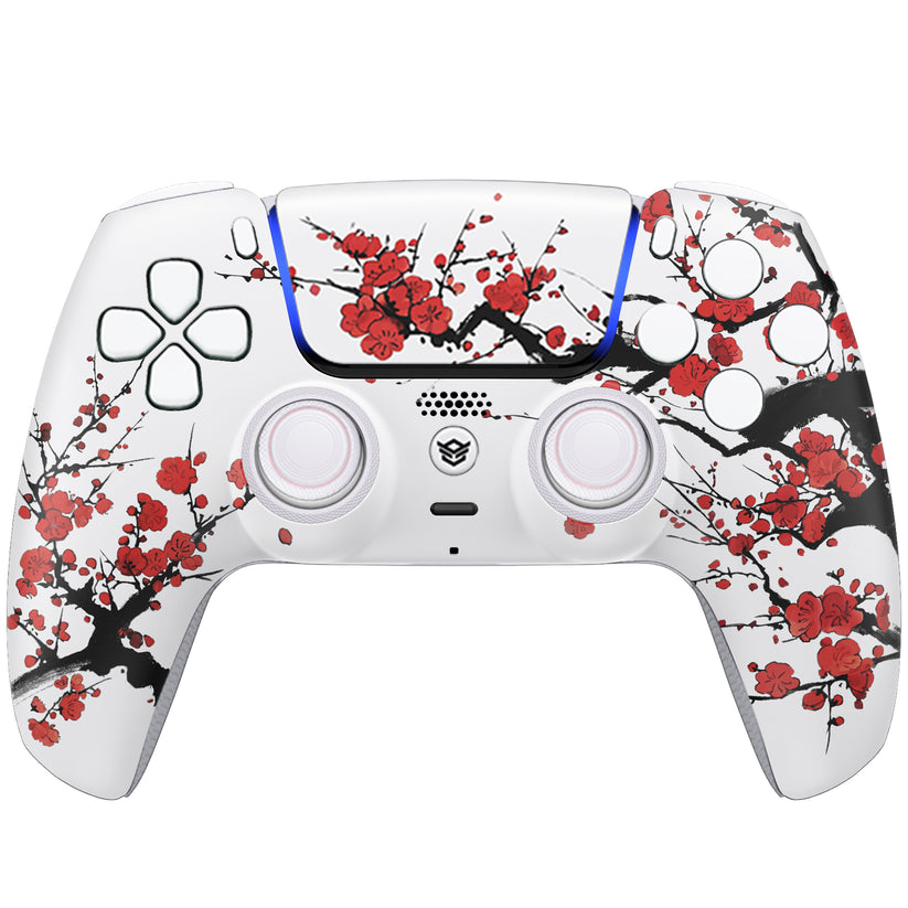 Custom PS5 Controller-Hexgaming.com